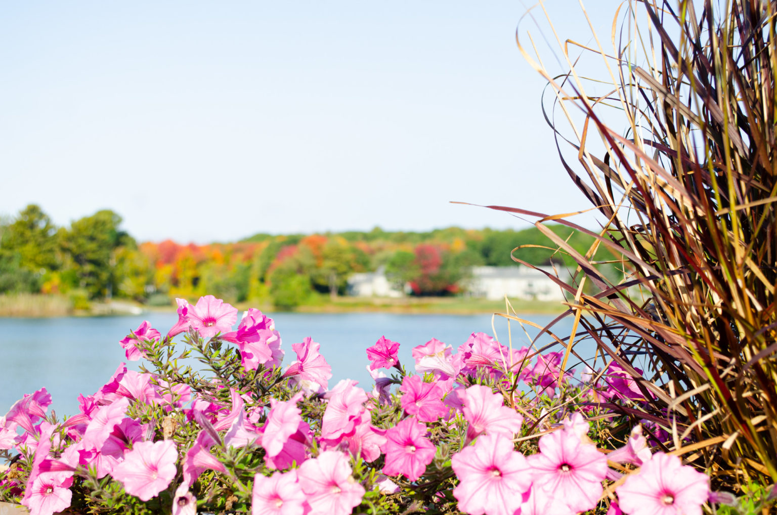 KENNEBUNKPORT, BIDDEFORD, AND ARUNDEL, MAINE!