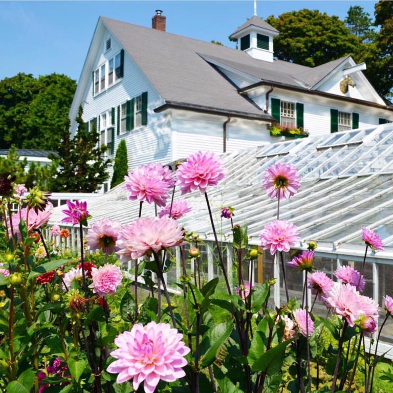 THINGS TO DO IN HAMPTON + NORTH HAMPTON NH | Seacoast Lately