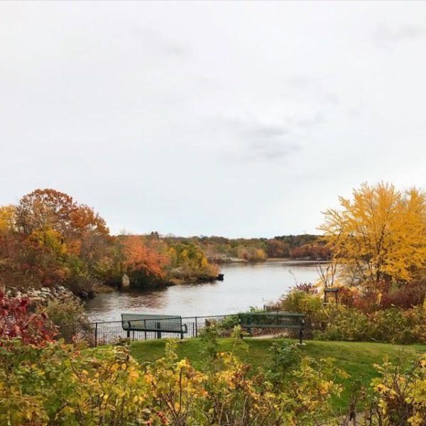 BIDDEFORD, MAINE | TRAVEL GUIDE | SEACOAST LATELY