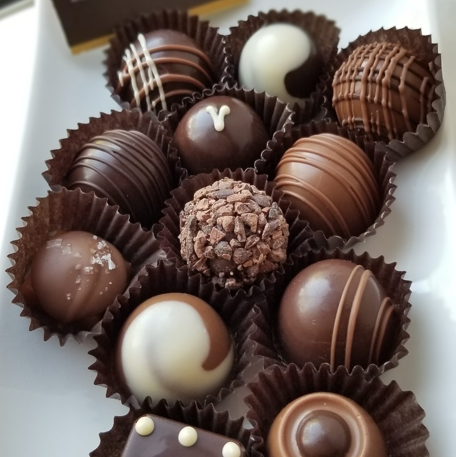 WHAT TO DO IN AMESBURY, MASSACHUSETTS | CITY GUIDE