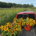 SEACOAST LATELY'S FARM GUIDE | MAINE + NEW HAMPSHIRE