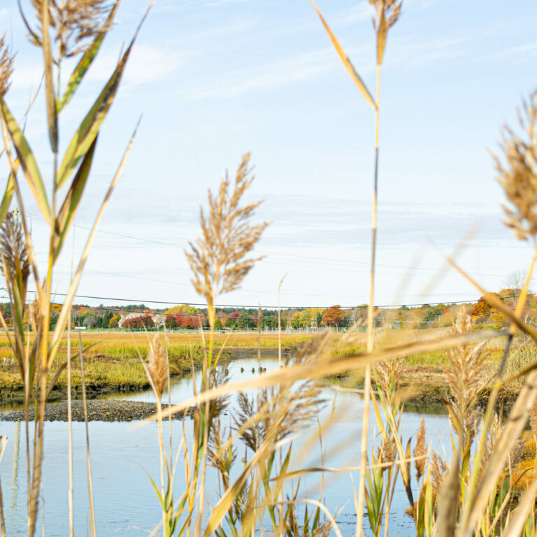 HAMPTON, NEW HAMPSHIRE TOWN GUIDE | SEACOAST LATELY