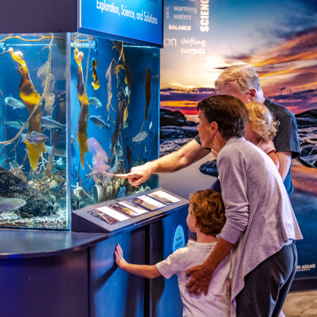 RYE + NEW CASTLE, NH TOWN GUIDE!